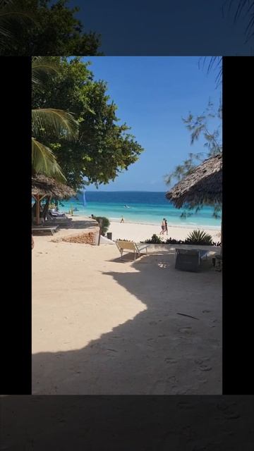 Отель My Blue 4* Танзания