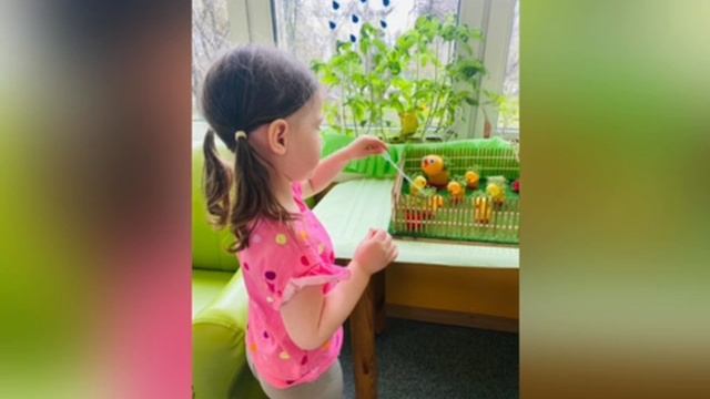 Проект педагогов и детей группы 9.1 " Непоседы". "Огород на окне- 2025"