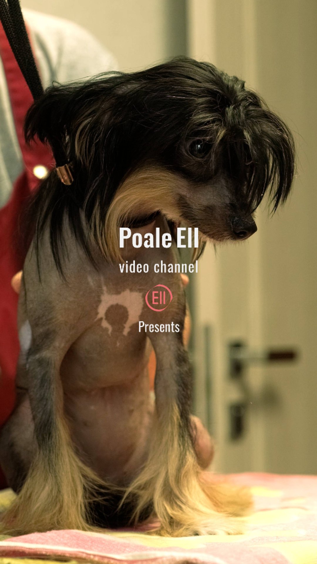 Виктория - груминг