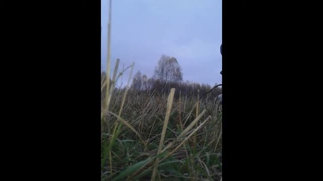 Первое серебро