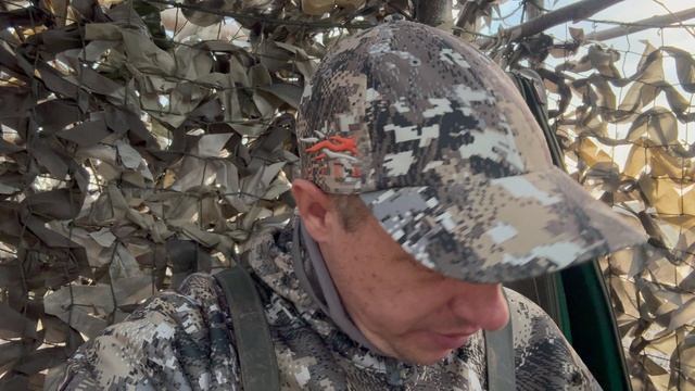 Охота на селезня с подсадной | Мой первый селезень