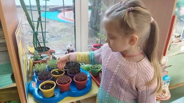 Проект педагогов и детей группы 2.2 " Почемучки-2". "Огород на окне- 2025"