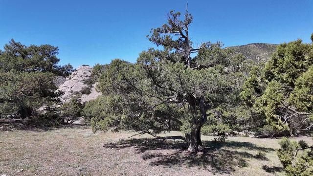 Гора Сокол и бухта Любви в Новом Свете