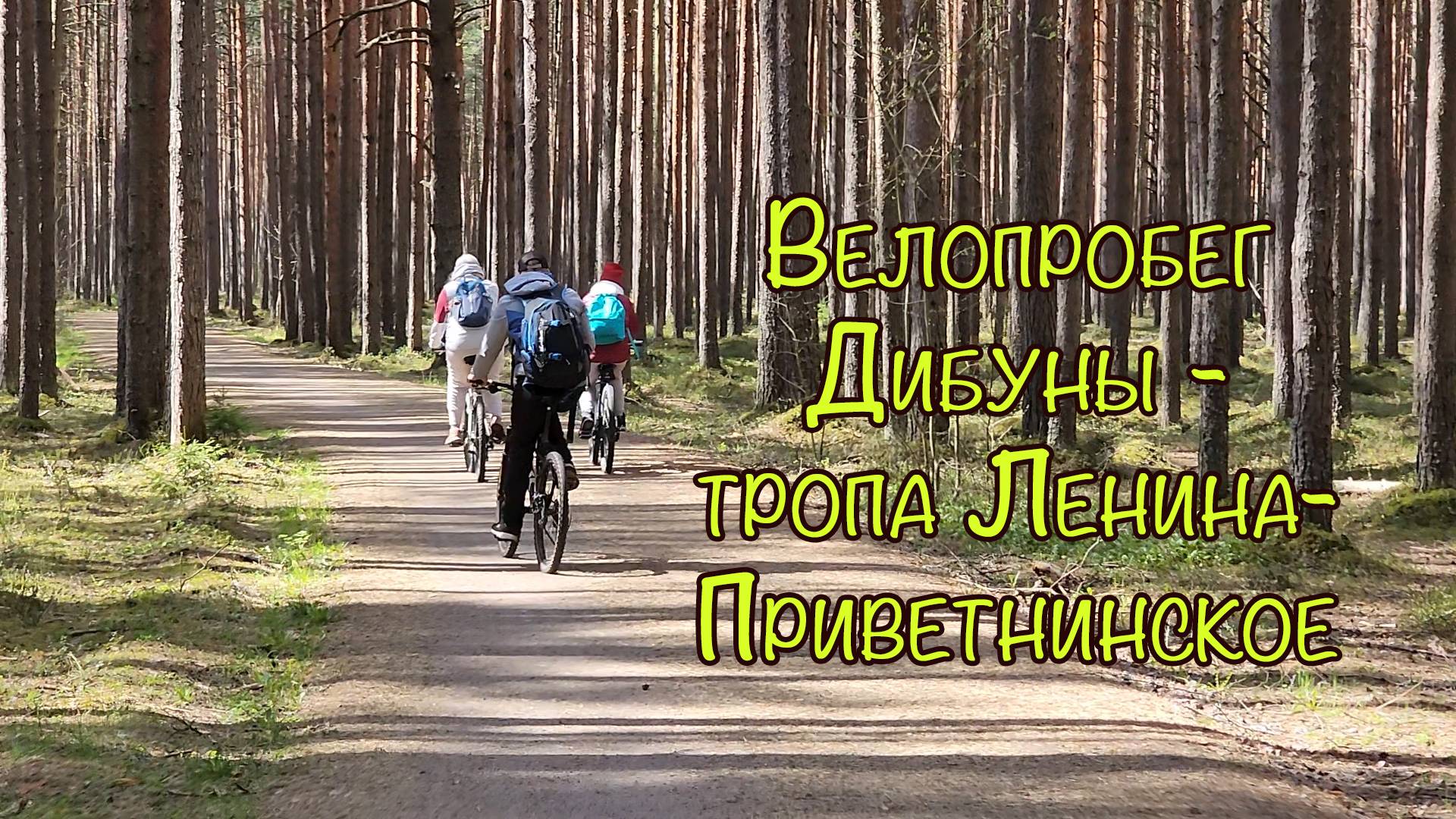 Велопробег Дибуны - Приветнинское