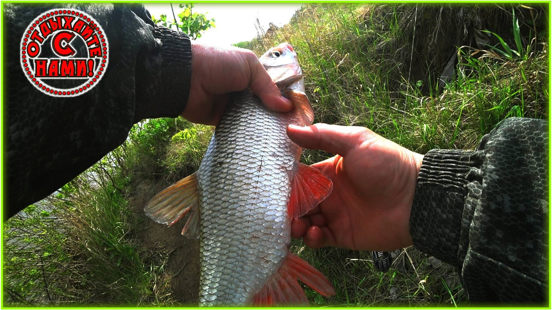 Впервые поймал язя на фидер! Первые потери в этом сезоне...!!! Даже не смог поднять...!