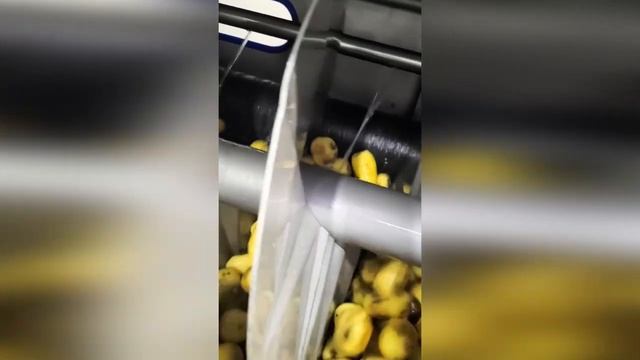 Машина для мойки овощей Leaddenmar MM/ST/СB L3500/4000/4500 очистка корнеплодов