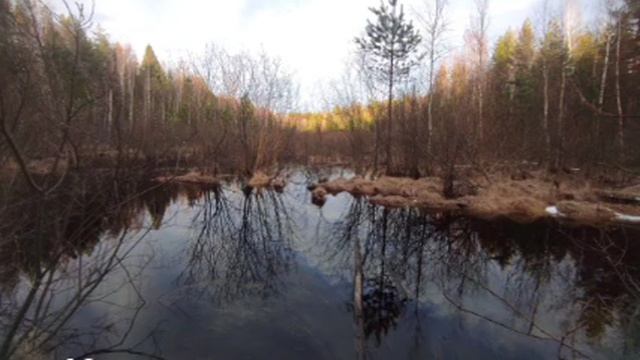 Как остановить мысли Роберт Адамс