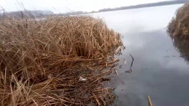 Середина ноября 2021 г. крайние выезды на рыбалку перед ледоставом.