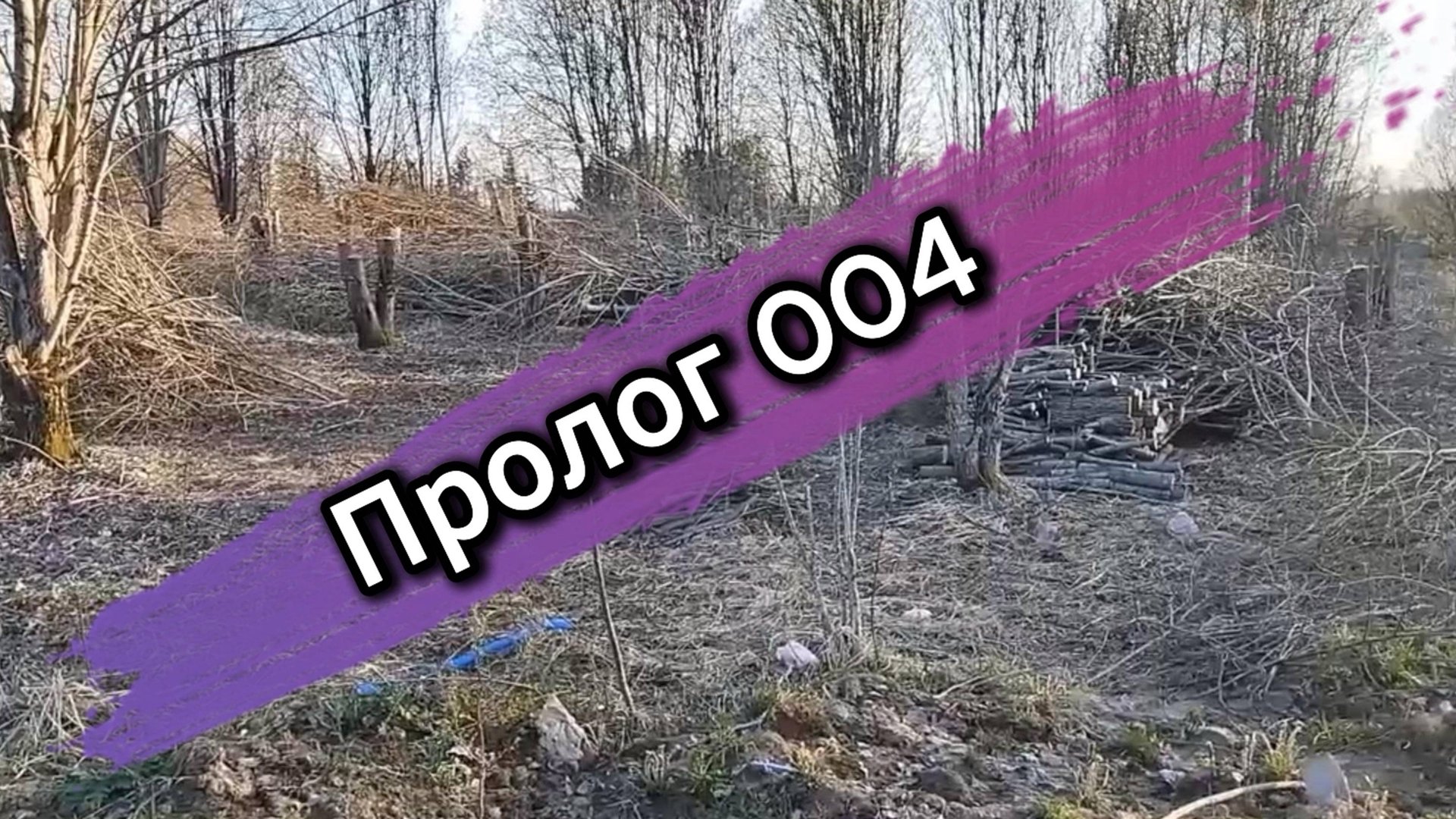 Дача в Подмосковье, первые шаги. Часть 004