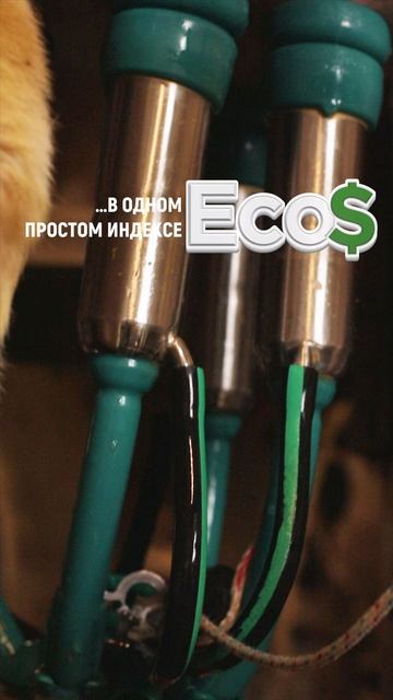 🔥 Ваш ключ к успешному будущему стада — индекс Eco$ от STgenetics!