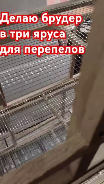 Трех ярусный брудер для перепелов