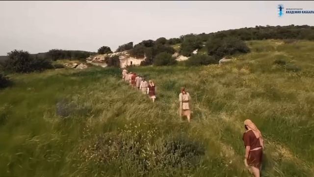 Что раскрыли Рашби и его товарищи?