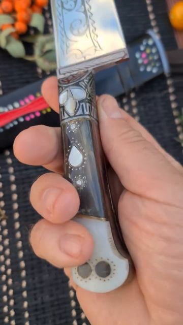 Пчак_Элбека_Абдулаева_из_ранних