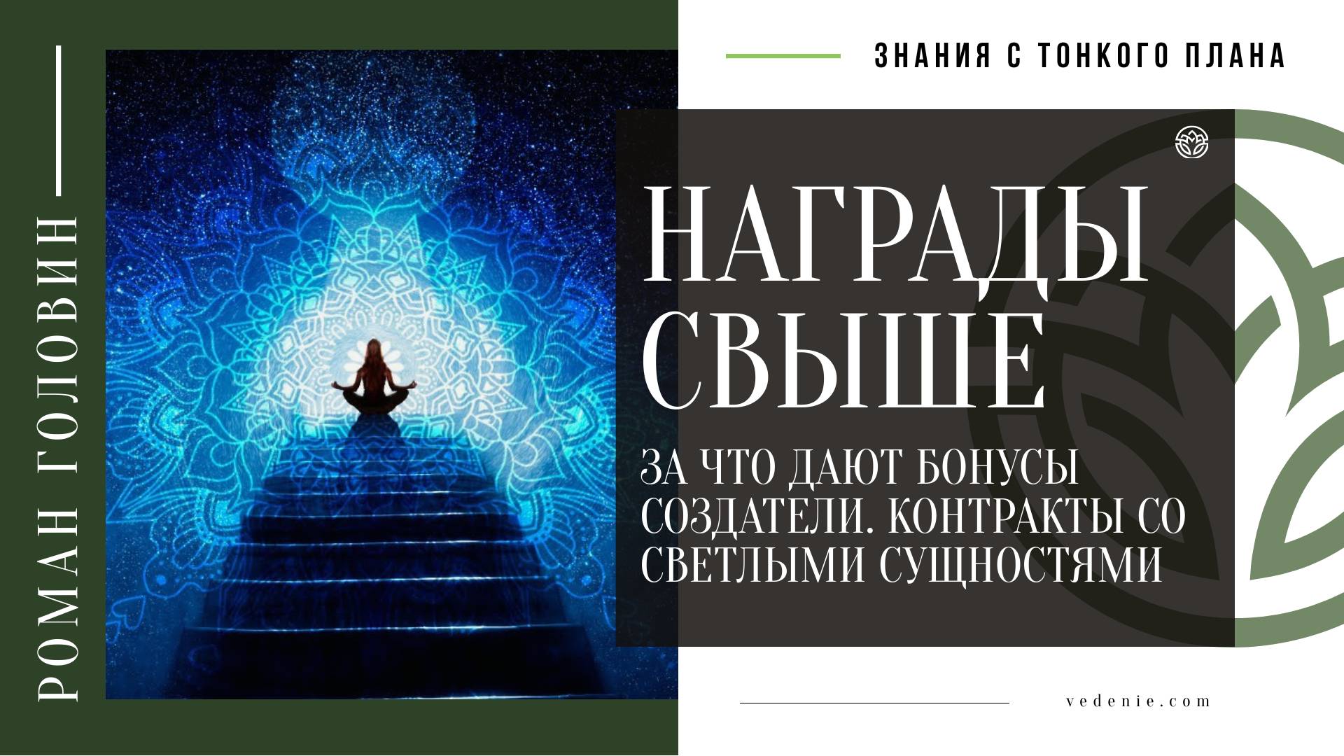 ЗА ЧТО ДАЮТ БОНУСЫ СОЗДАТЕЛИ. Контракты со светлыми