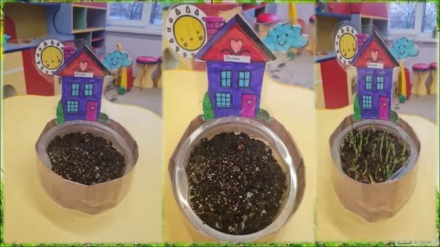 Проект педагогов и детей группы 8.2 " Теремок". "Огород на окне- 2025"