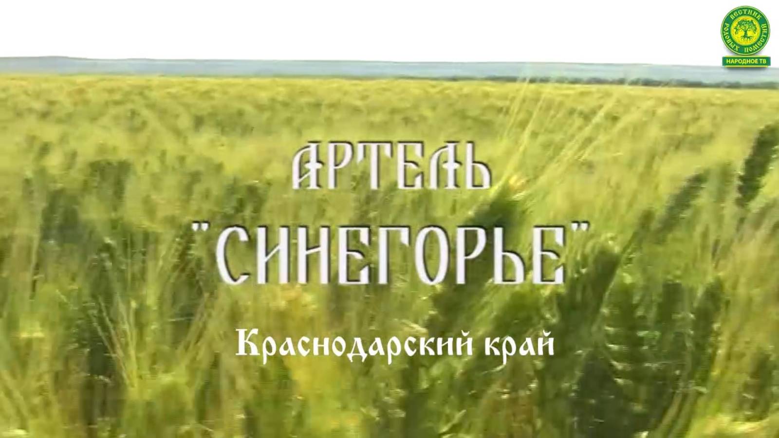Артель Синегорье Краснодарский край