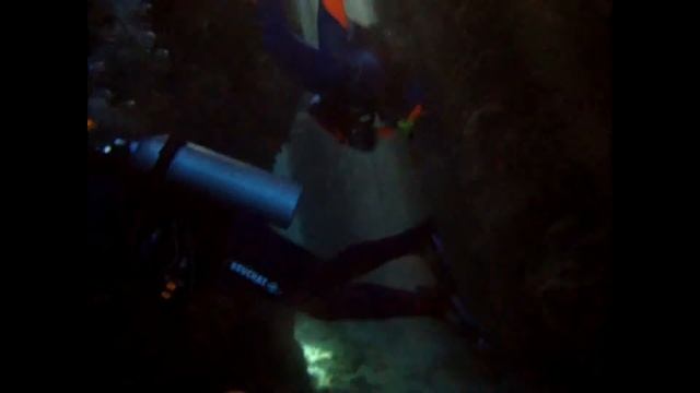 подводный мир Египта