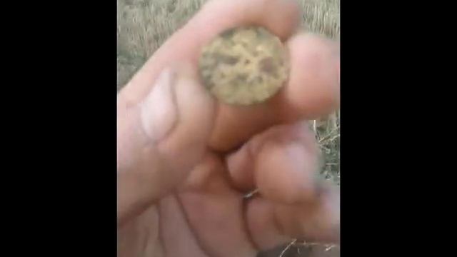 Петровская полушка