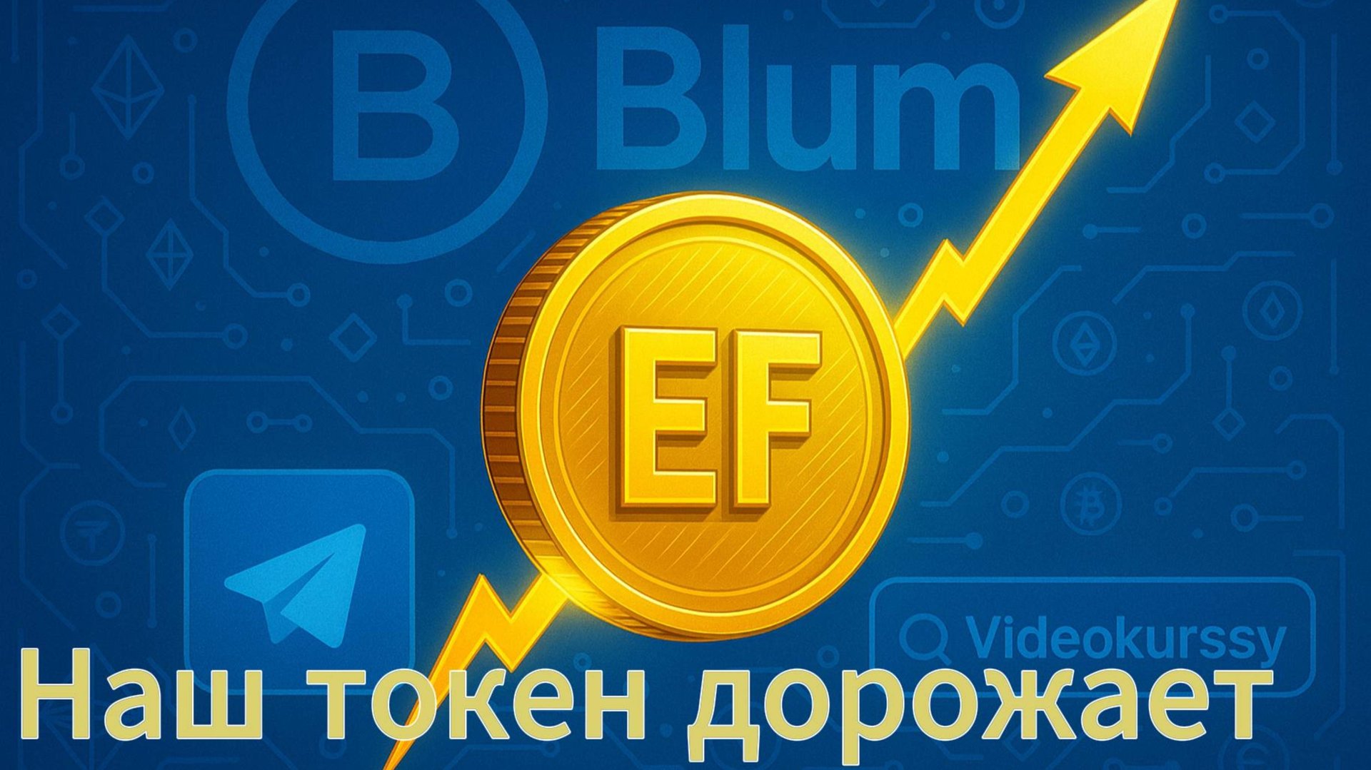 Наш токен на Blum дорожает