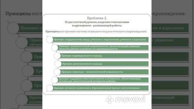 Проблемы сопровождения детей с ограниченными возможностями здоровья