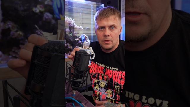 Пенники, о которых вы не знали: раскрываем секреты в новом подкасте! #морскойаквариум #aquarium