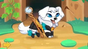 Создал акаунт в ДД !