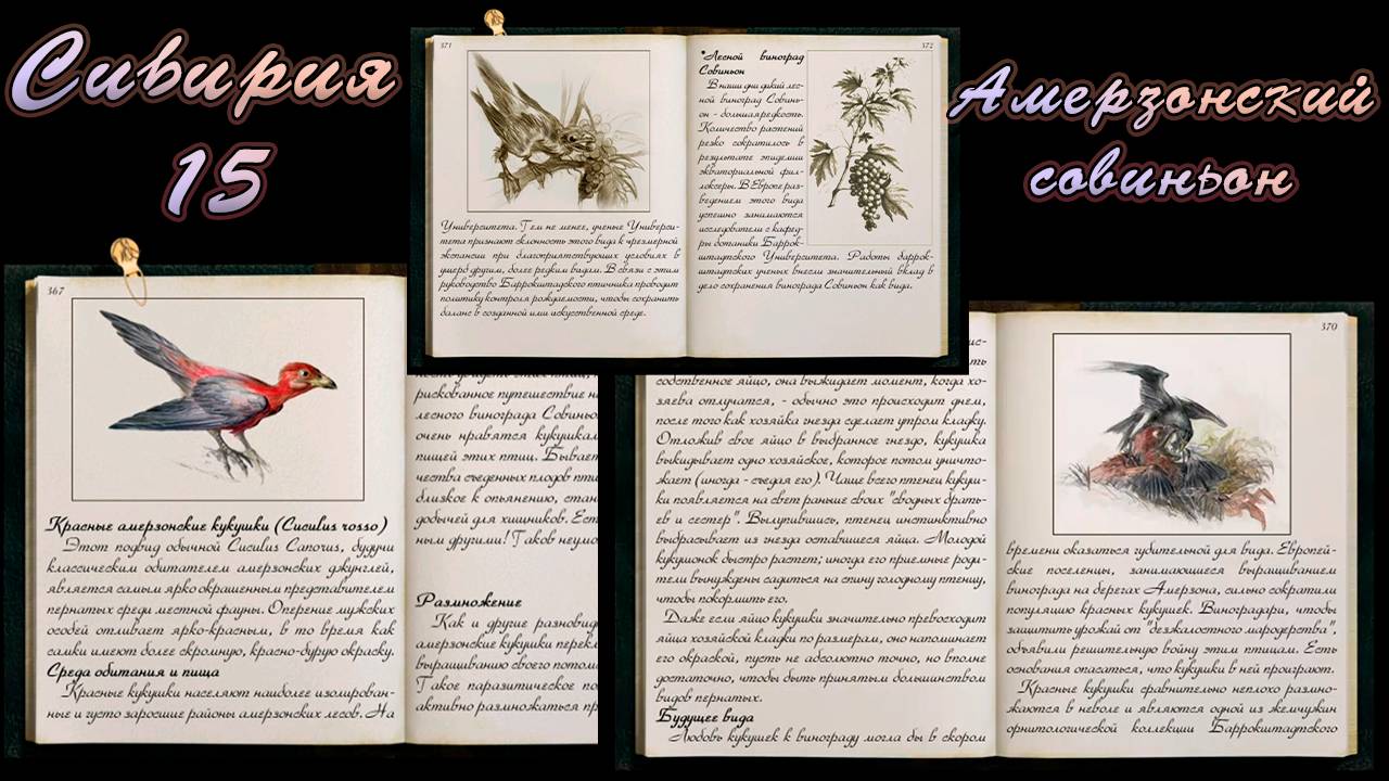 Syberia 15 серия Амерзонский Совиньон