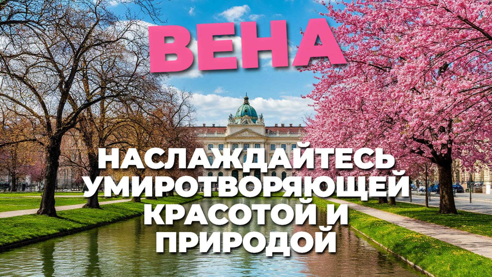 Вена встречает весну: Очарование цветущего Фольксгартена и спокойствие природы! 🌼🌳