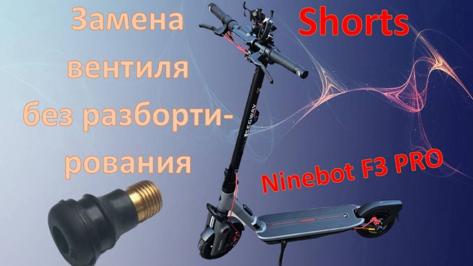 Shorts. Замена вентиля бескамерного колеса без разбортирования на примере Ninebot F3 PRO.