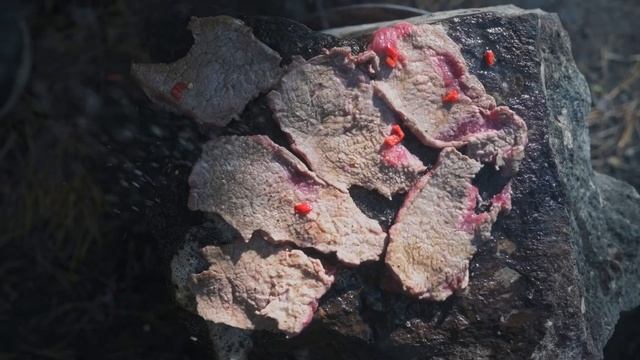 Кейтеринг (пикник) на Алтае.