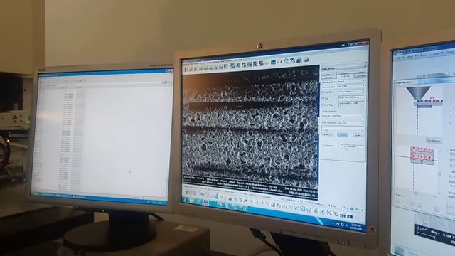 СЭМ 2019 суспензия 1:3 п 330