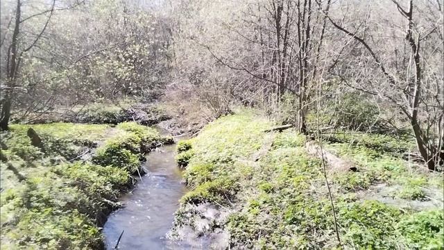 Песня ✨Восьмерками👀 глаз💕✨