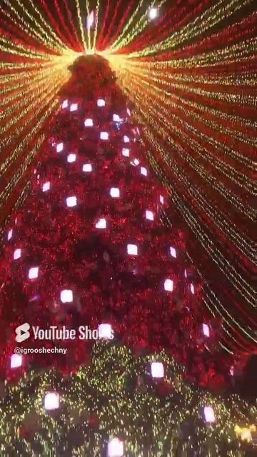 Елка топ #елка #елкановогодняя #москва #паркгорького