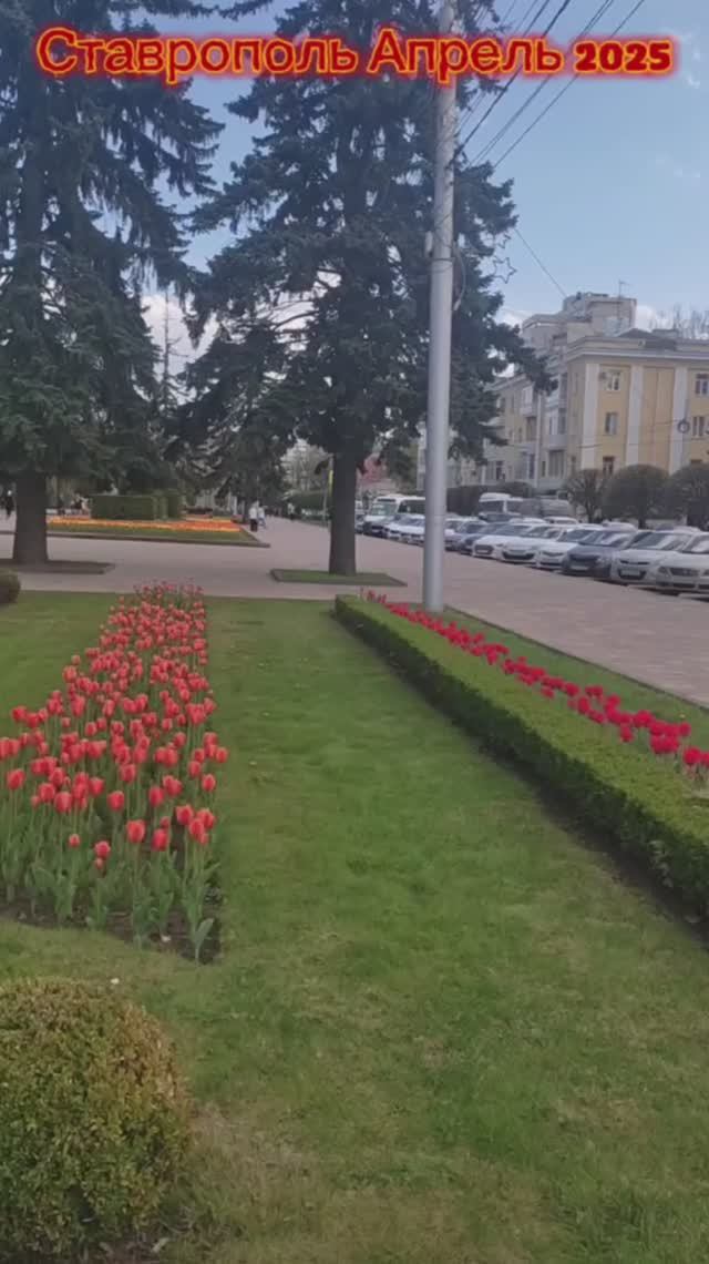 2025 апрель Ставрополь