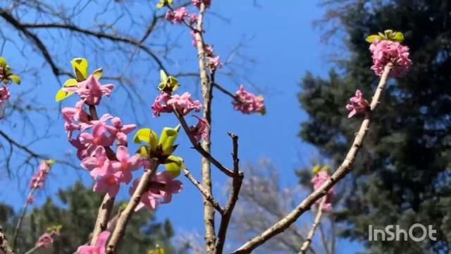 настроение 34