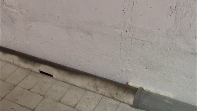 Вытяжка в перепелятник