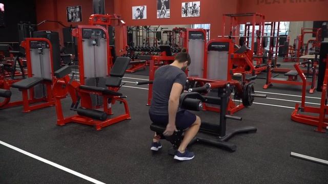 Отжимания сидя трицепс Smith SH016