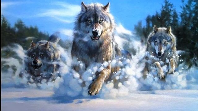 ПЕСНЯ ПРОСТО ЖЕСТЬ! ВОЛКИ Медведь представляет Выпуск 15