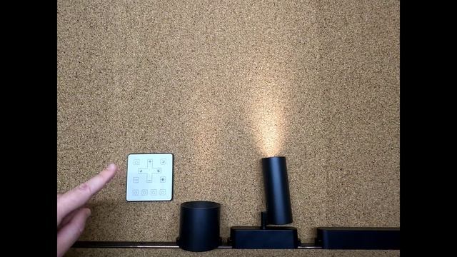 Беспроводной пульт ДУ EASY (арт. 359393)