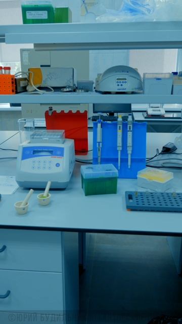 Resident Evil от КУБГАУ (=