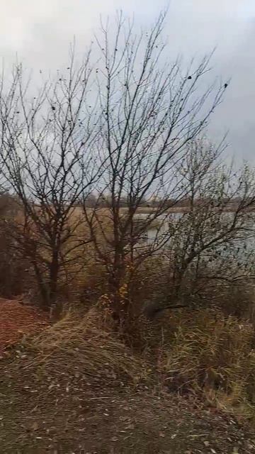 Ура выходной и на рыбалку