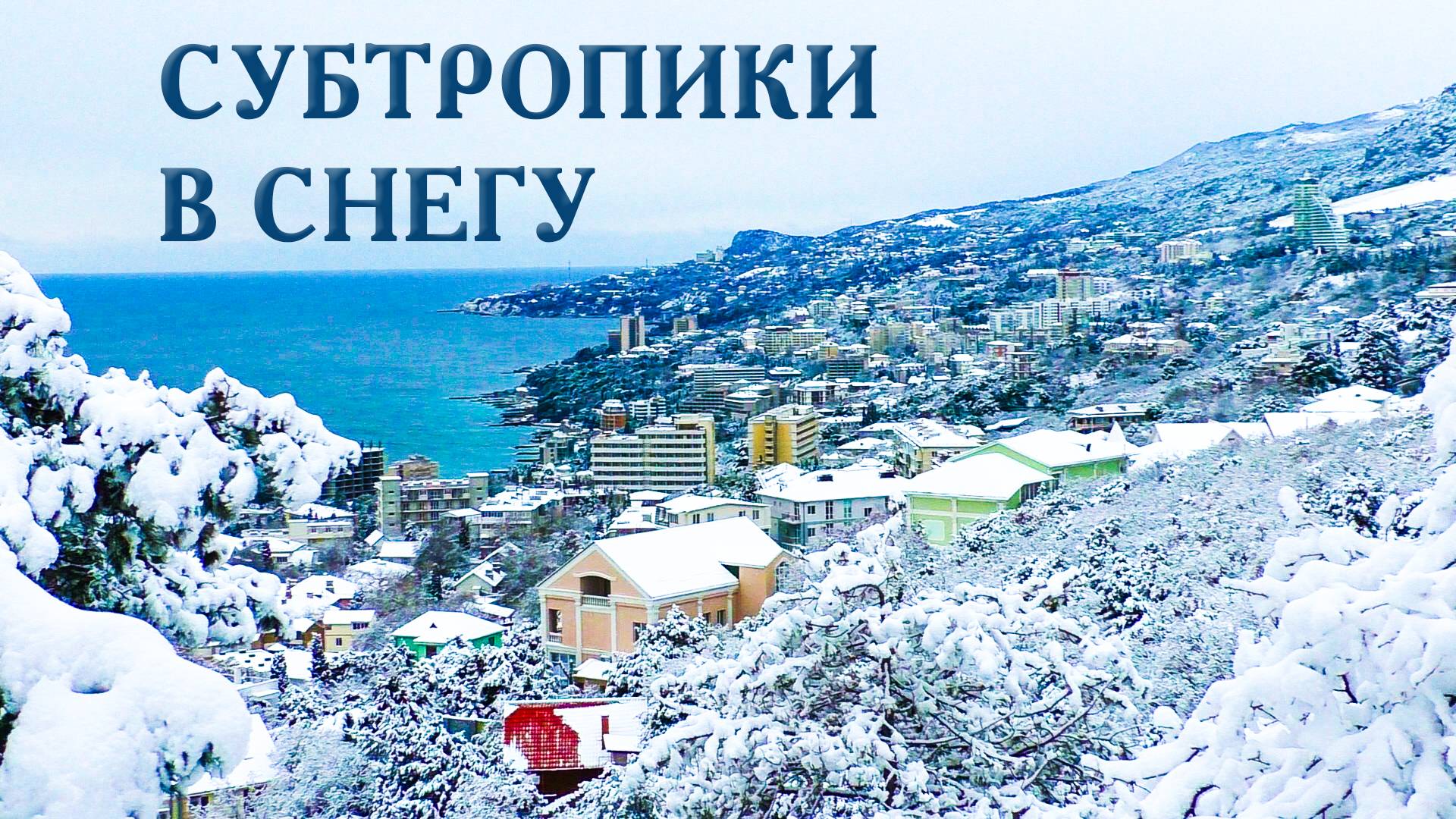 Ялту завалило снегом! Красота или форсмажор? Царская тропа и парк Харакс в снегу! Волшебное зрелище!