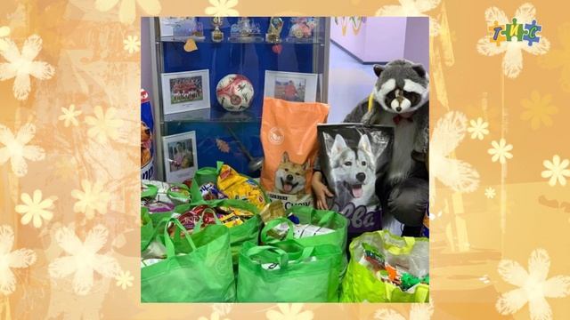 Детский сад ТиС презентация 19 09 2020