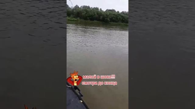 Хороший клев, повезло с рыбой