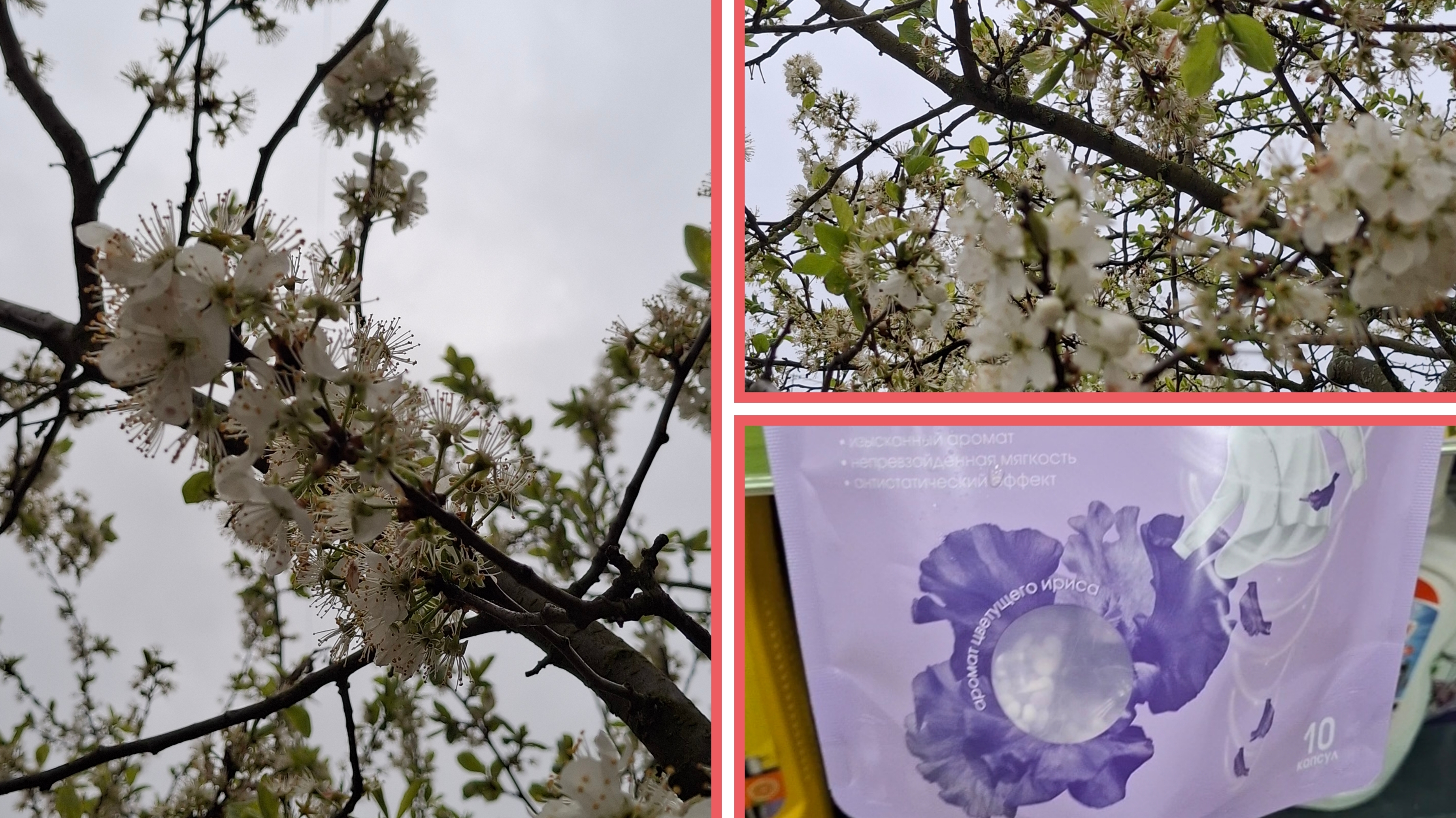 Обзор из Фикс прайс/что купила, яркий салат на природу 🌅