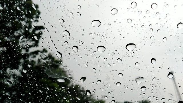 Четье Минеи 15 (2) мая