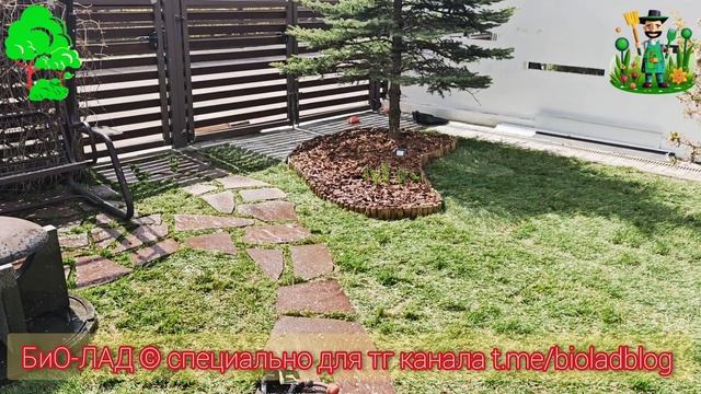 Зафиналили один из объектов.