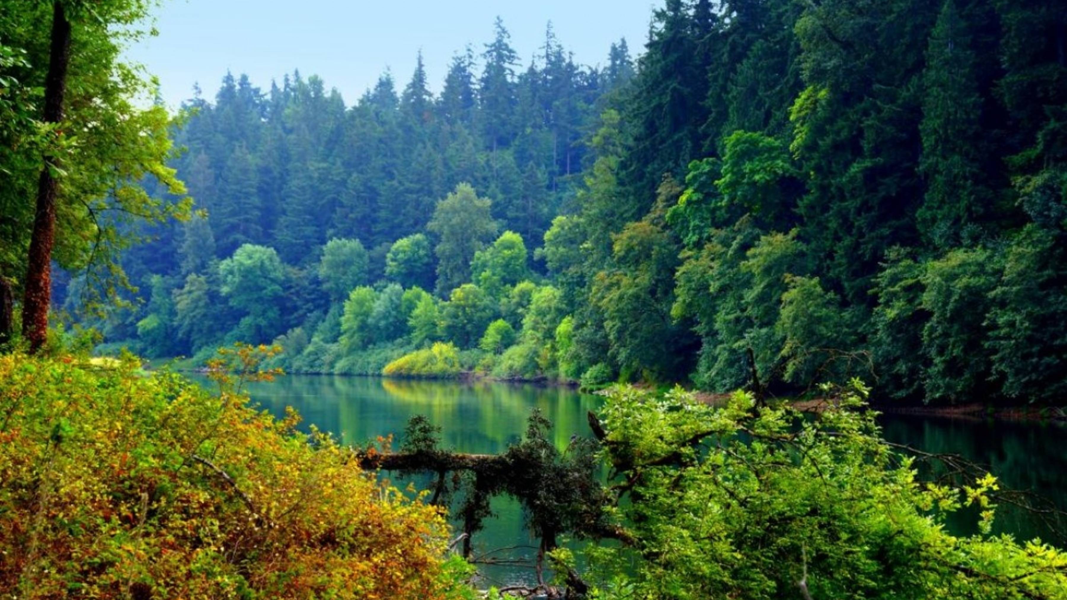 Успокаивающая музыка. Музыка для расслабления. Для души,сна, медитации.Звуки природы, флейта. Релакс