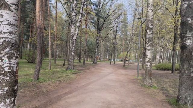 Парк Сосновка