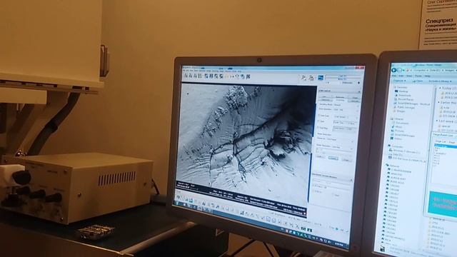 СЭМ 2019 полимеры